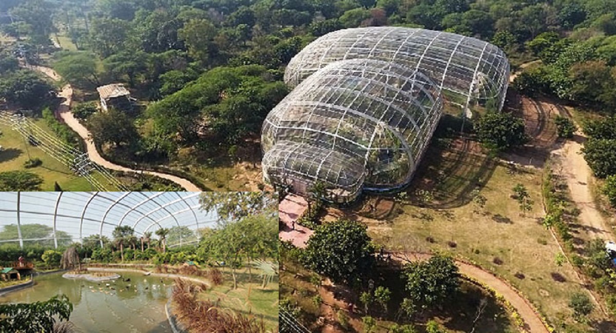 Entry is free in Chandigarh's bird park
